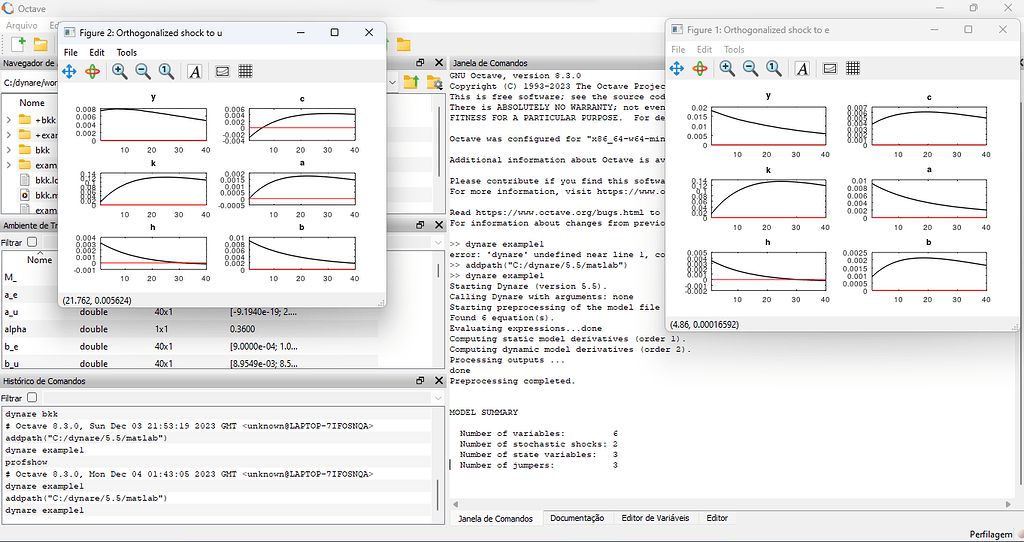Bug after running example1 - Installation and Setup - Dynare Forum